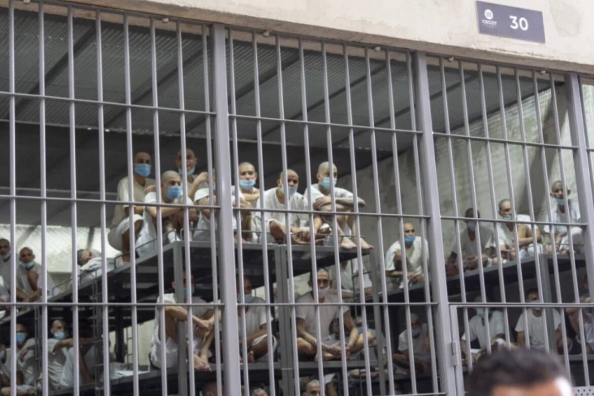 Nayib Bukele le responde a Hillary Clinton sobre acusaciones de tortura ...