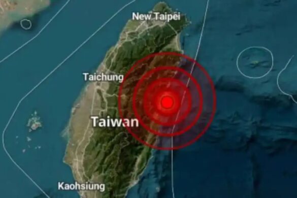 Cómo la crisis climática está reescribiendo el mapa de la fauna festiva ...