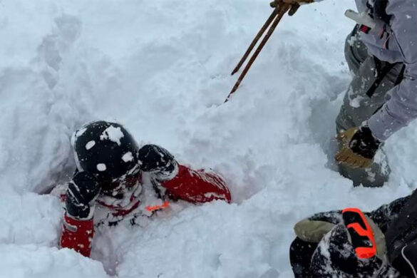 El programa "Trilla Nacional, a lo Venezolano" tiene otro horario desde ...